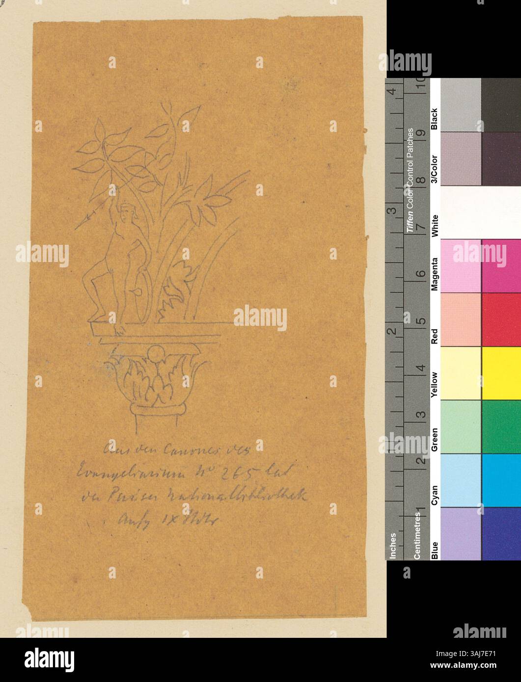 Mss latin 265 hi-res stock photography and images - Alamy