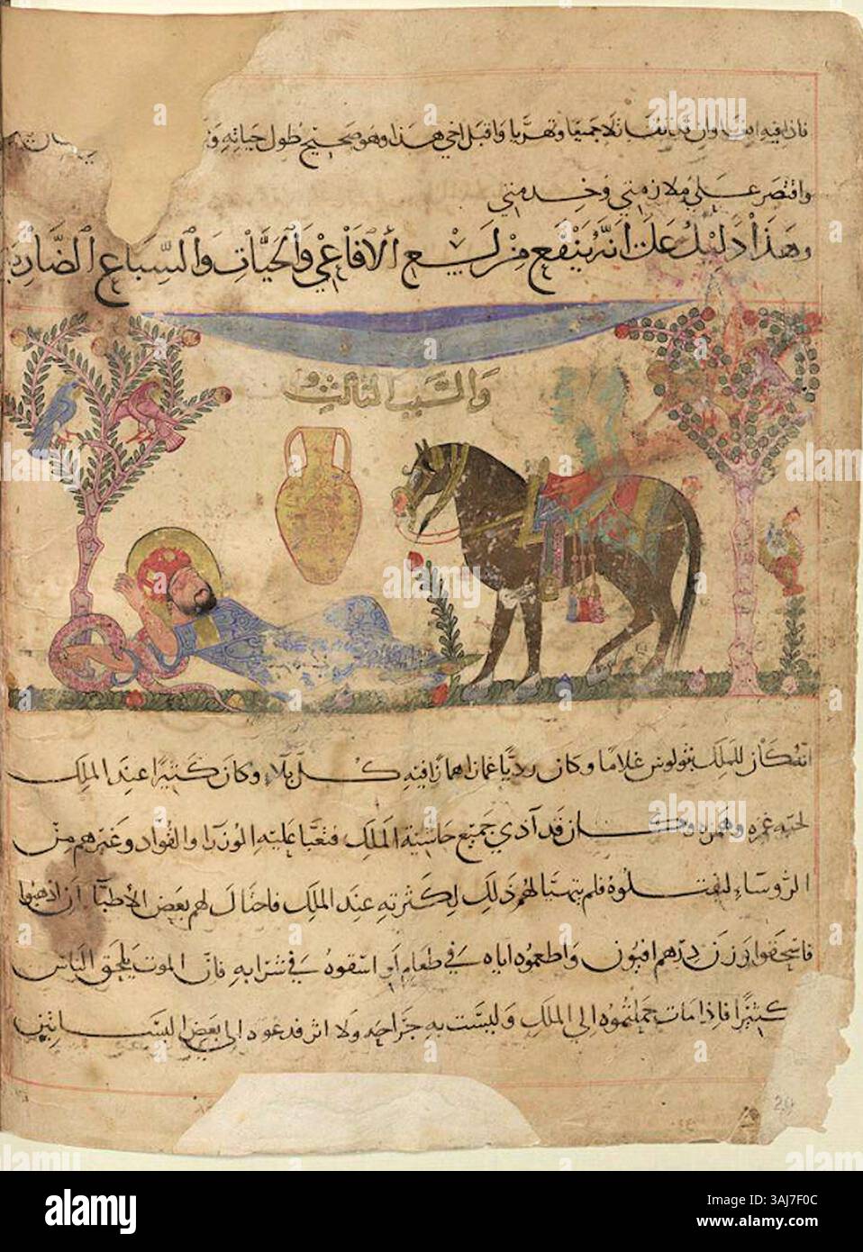 A 13th-century folio from the Kitab al-diryaq, preserved in Vienna AF ...