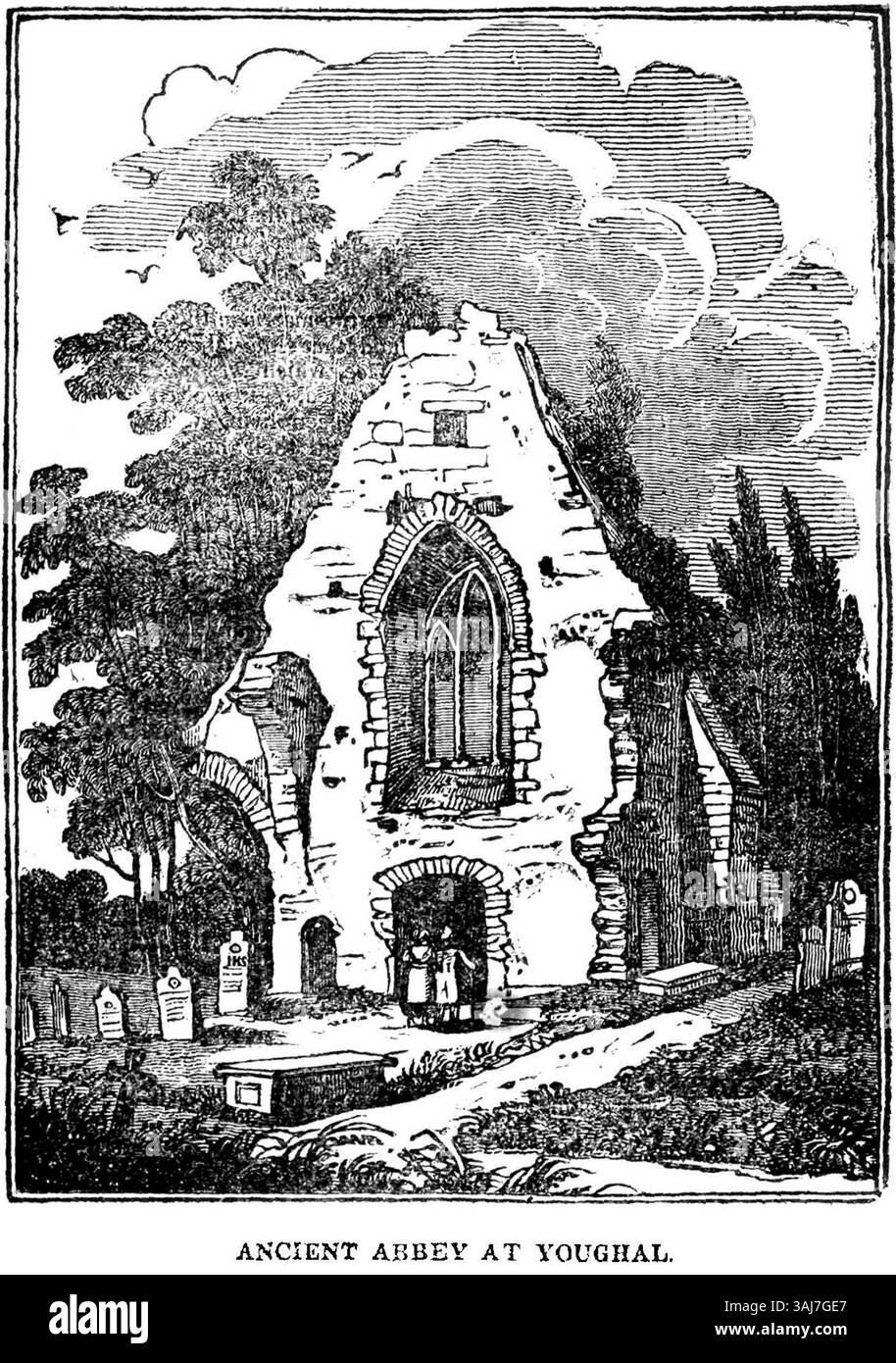The *Ancient Abbey at Youghal*, featured in *The Dublin Penny Journal ...