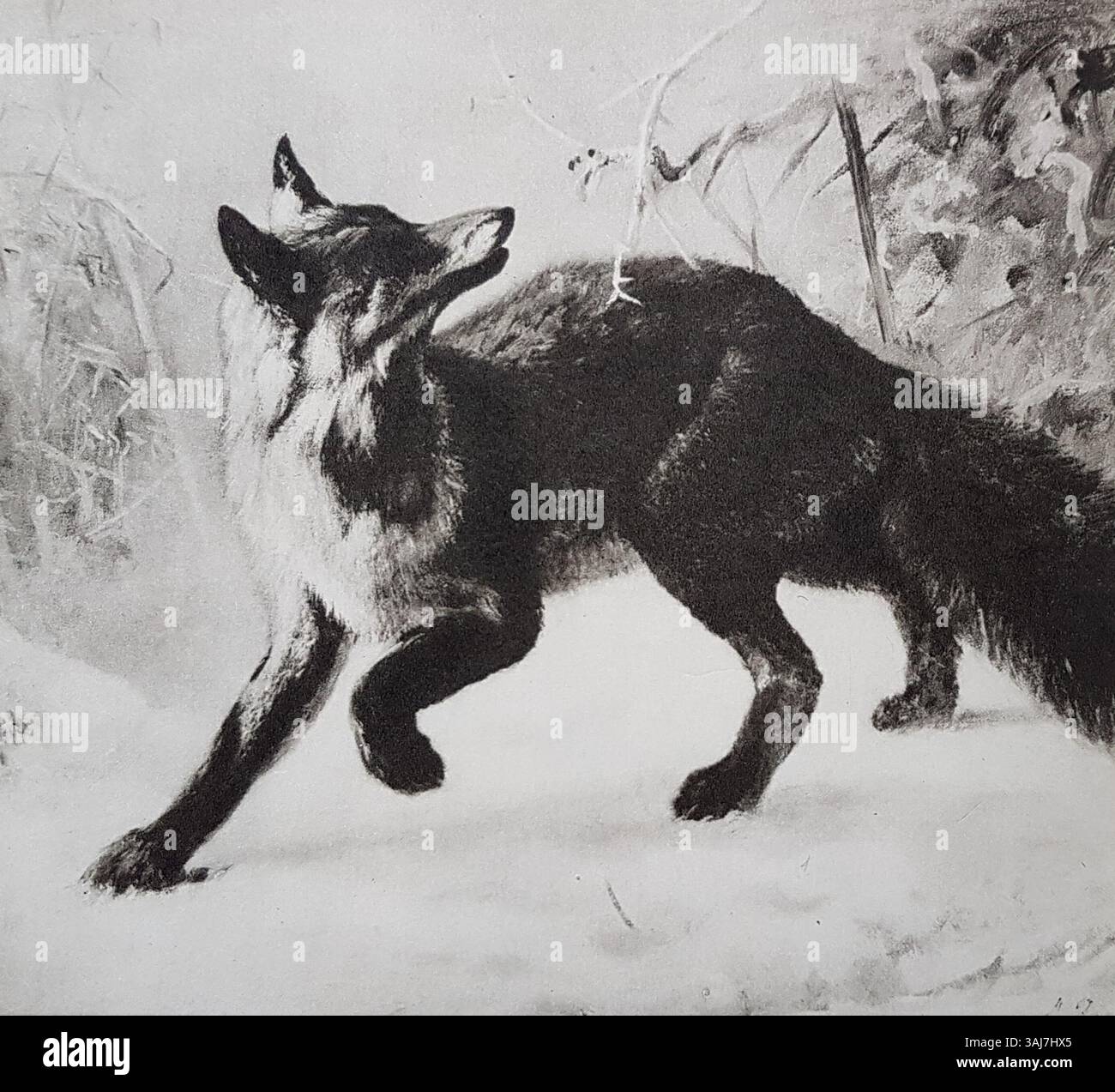 A painting by Axel Raab featuring a fox in a winter landscape. The work ...