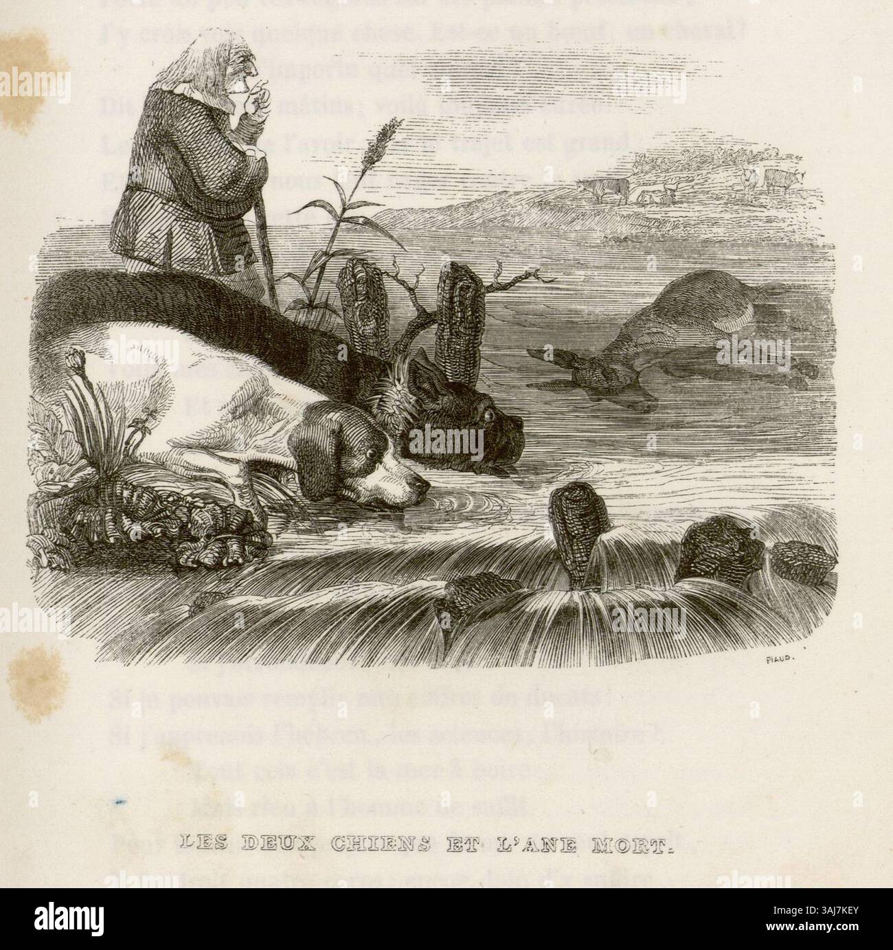 A print from 1838 illustrating the fable 'The Two Dogs and the Dead ...