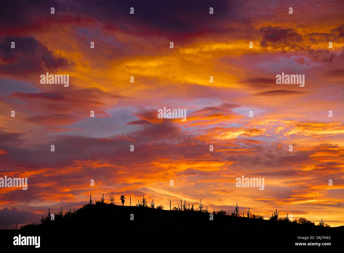 Desert sunset red sun hi-res stock photography and images - Alamy
