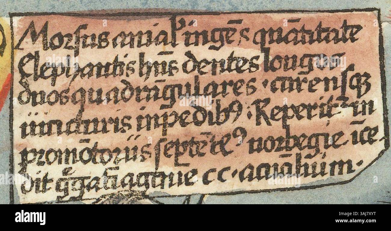 This cropped section of Lorenz Fries' 1522 world map showcases the ...