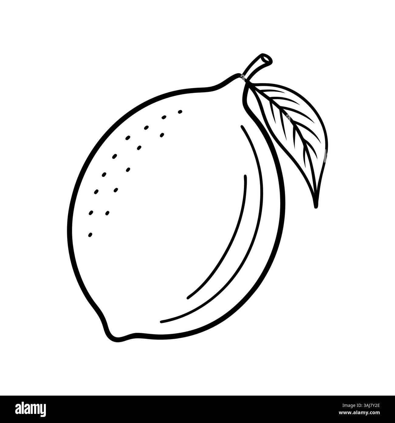 Hand drawn lemon Stock Vector Image & Art - Alamy