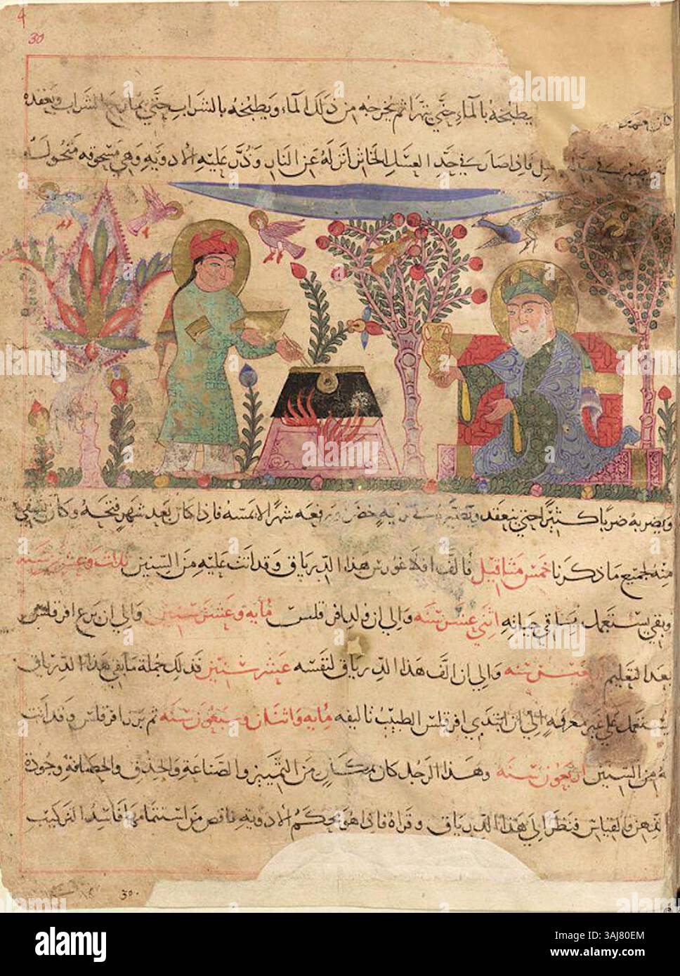 Kitab al-diryaq is a 13th-century Arabic medical manuscript, focused on ...
