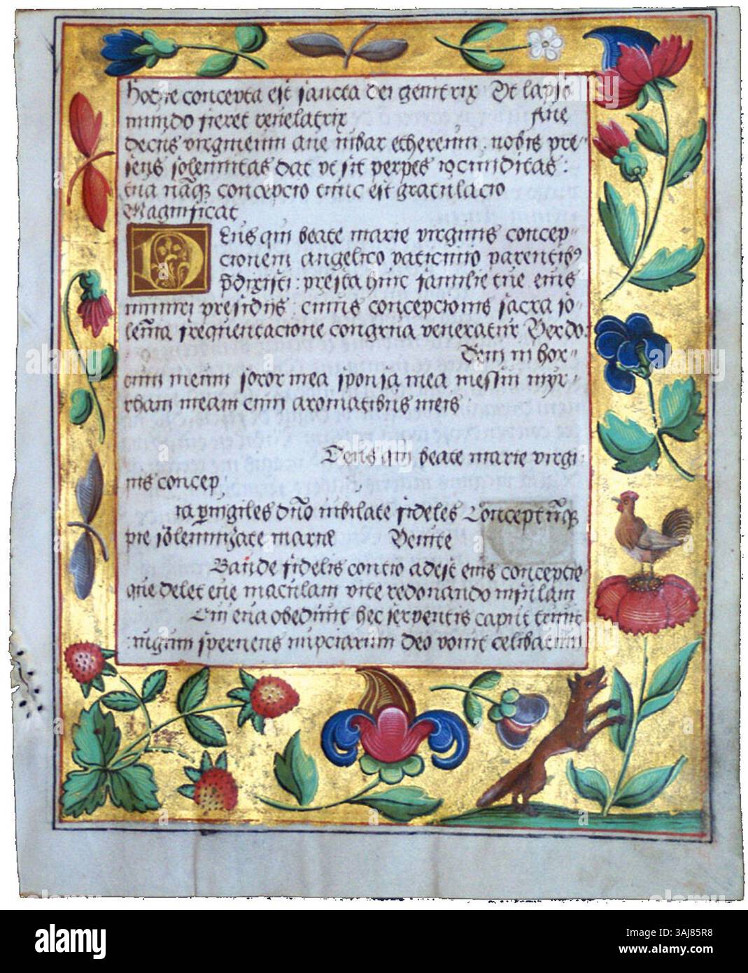 Recto ink Cut Out Stock Images & Pictures - Alamy