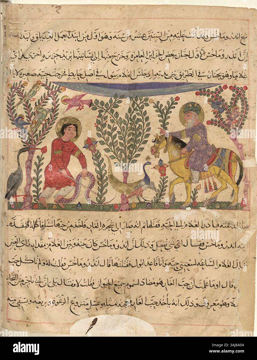 The 13th-century Kitab al-diryaq, Vienna AF 10 (5), features intricate ...