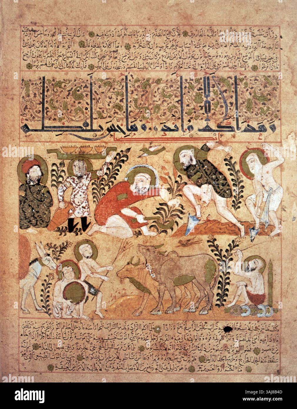 The 'Kitab al-Diryaq' BNF 2 is a 12th-century Arabic manuscript focused ...