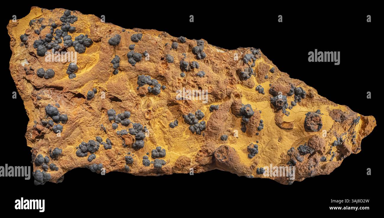 Manganese Biostructure, Chesapeake Bay, Maryland Stock Photo - Alamy