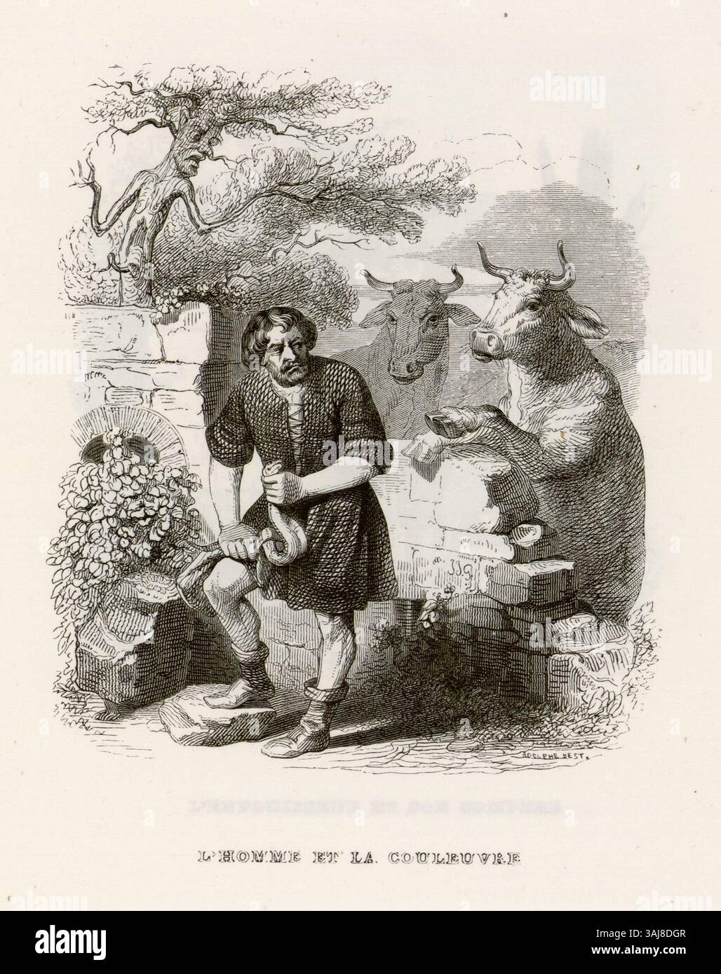 This 1840 print from La Fontaine's Fables, Tome III, depicts the fable ...