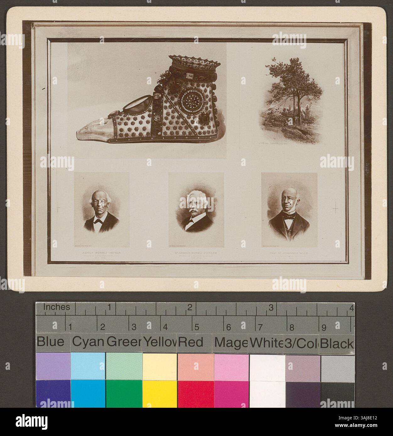 A reproduction of portraits of Bürkli and Wild, taken in 1896. These ...