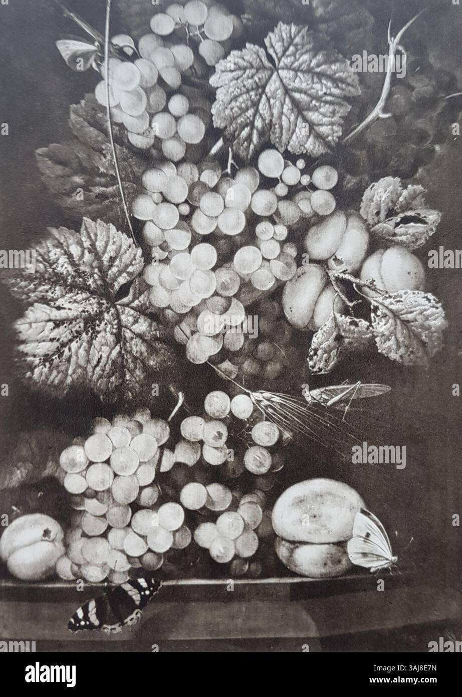 A still life painting by Ottomar Elliger, photographed from Allhems ...