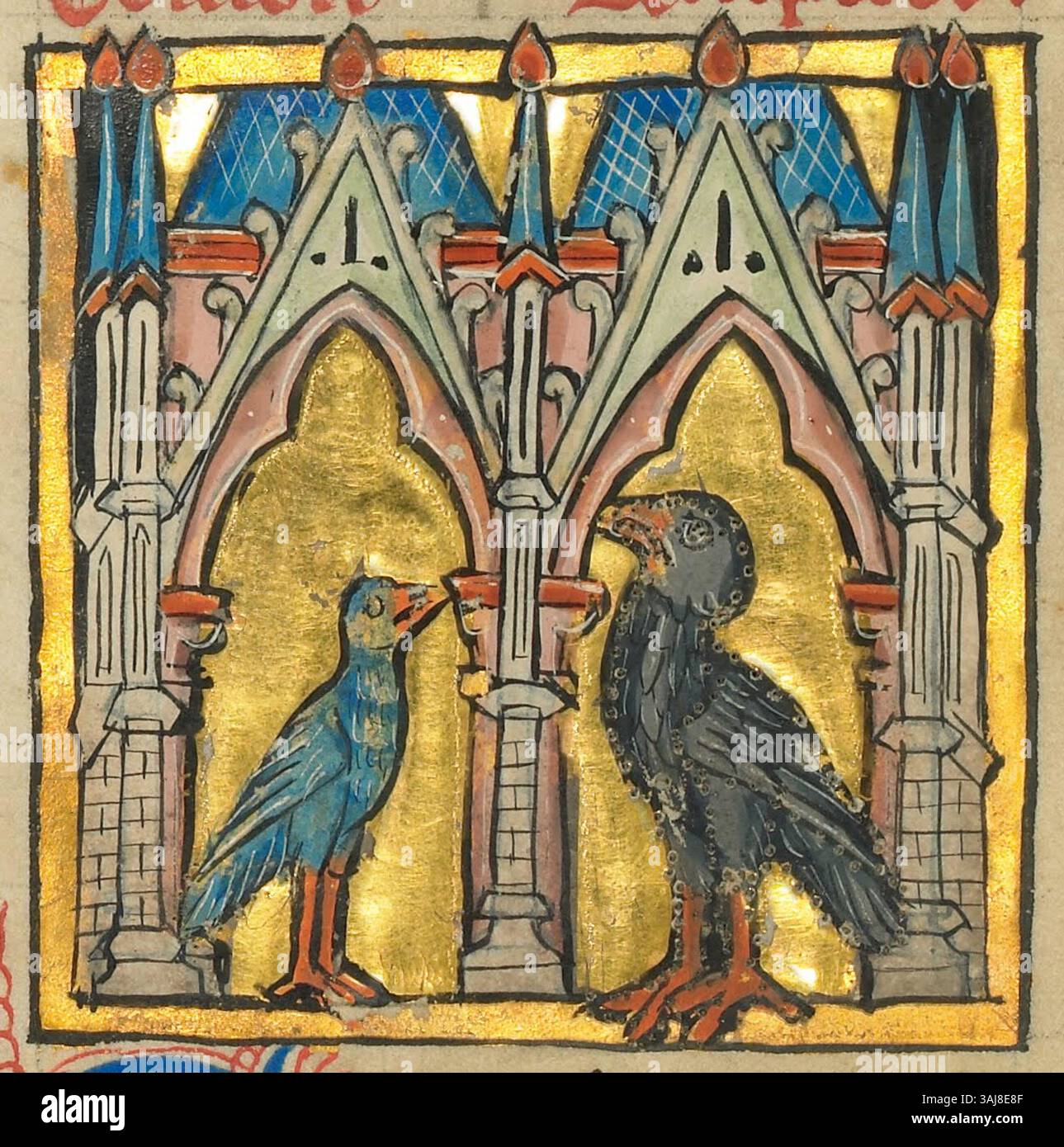 A medieval illustration featuring a dove and a falcon, painted in ...