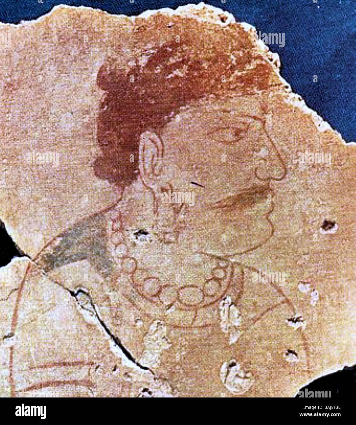 The 5th-century CE depiction of an Alchon devotee from Butkara I in the ...