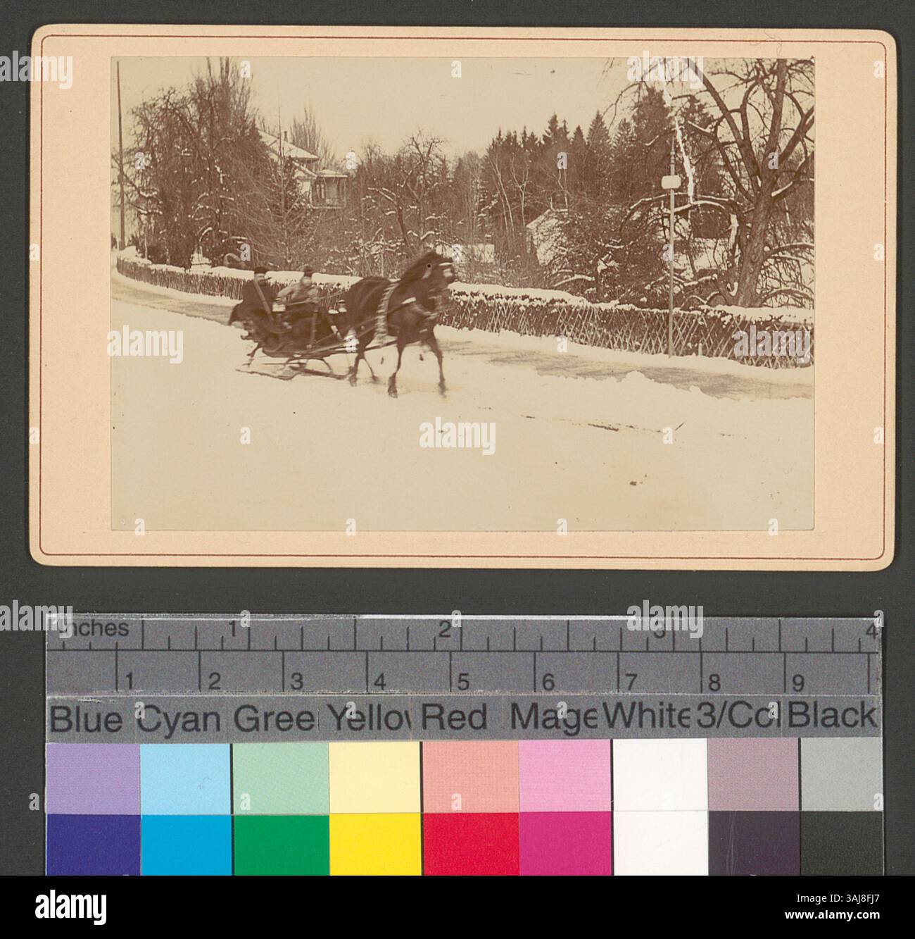This 1900 photograph by Robert Breitinger shows a single-horse sleigh ...