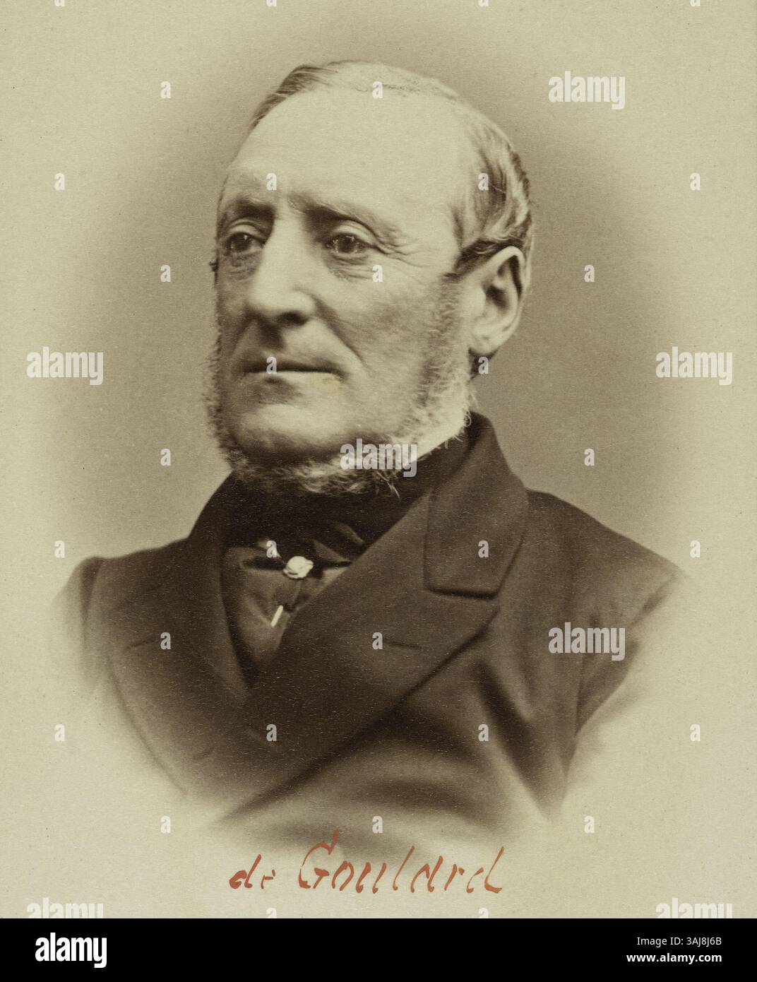 This portrait of Marc-Thomas-Eugène de Goulard, an advocate and ...