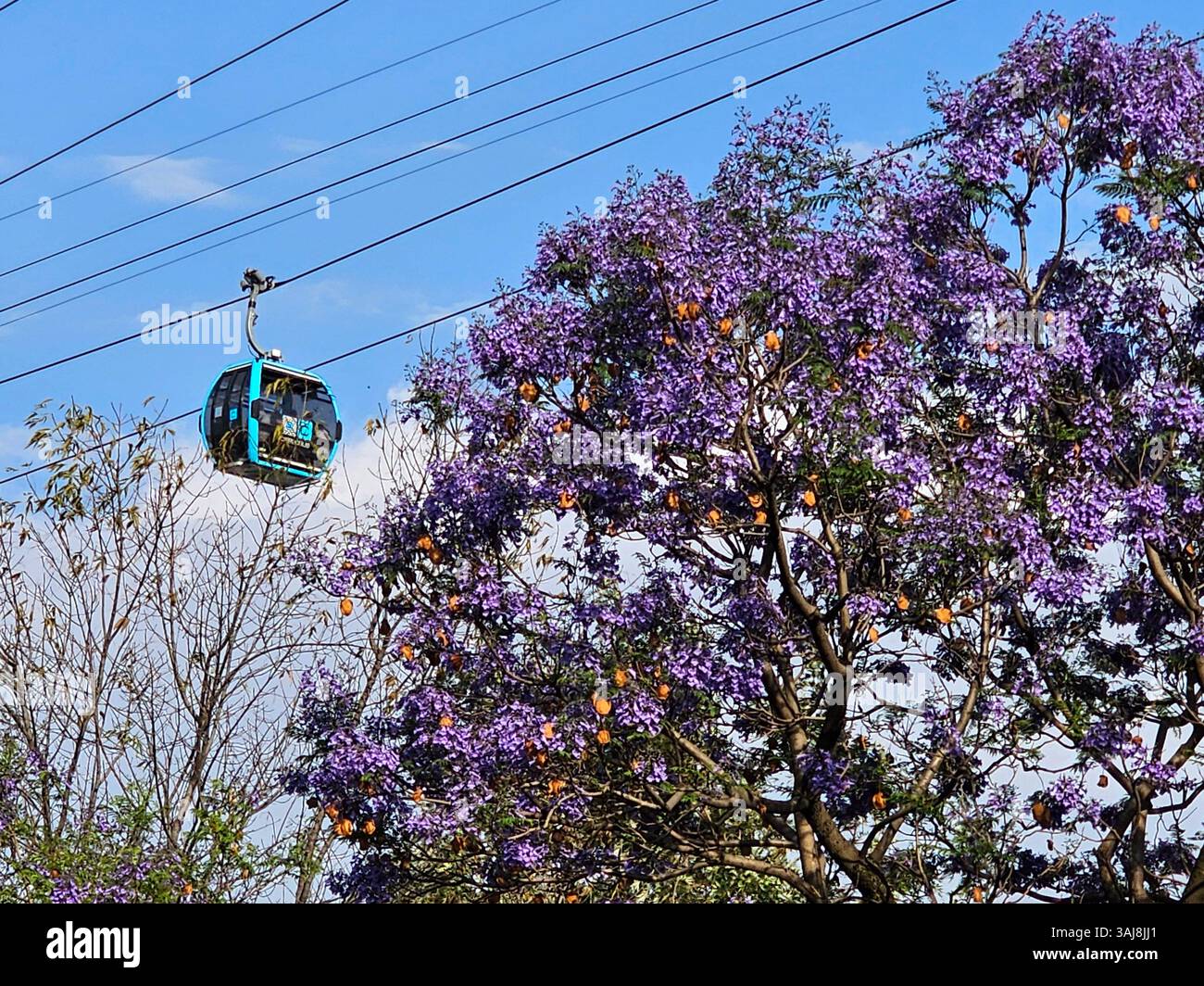 Mexico City, Mexico - March 26, 2025: Cablebus public transportation ...