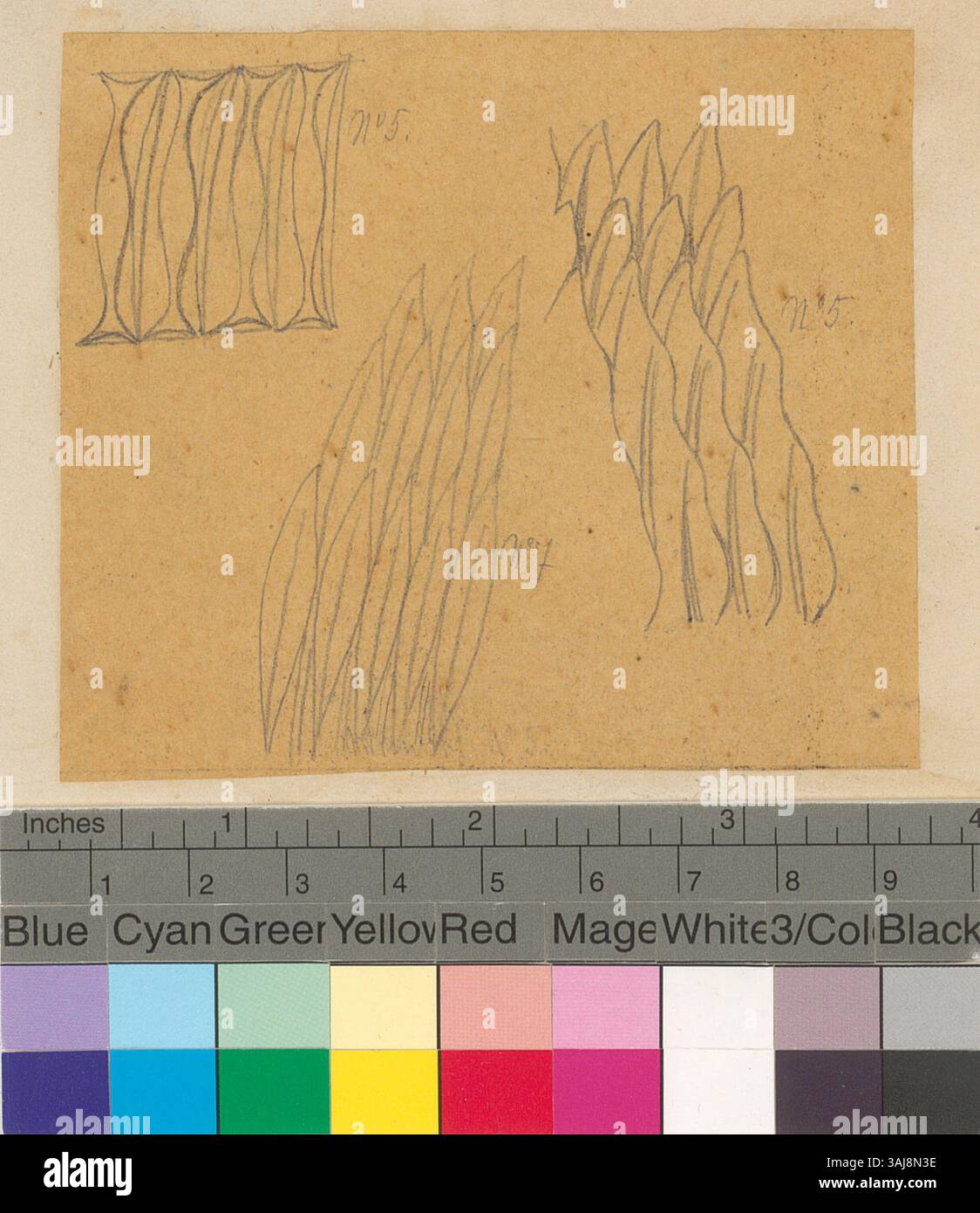 This image shows Johann Rudolf Rahn’s depiction of an Arretine vessel ...