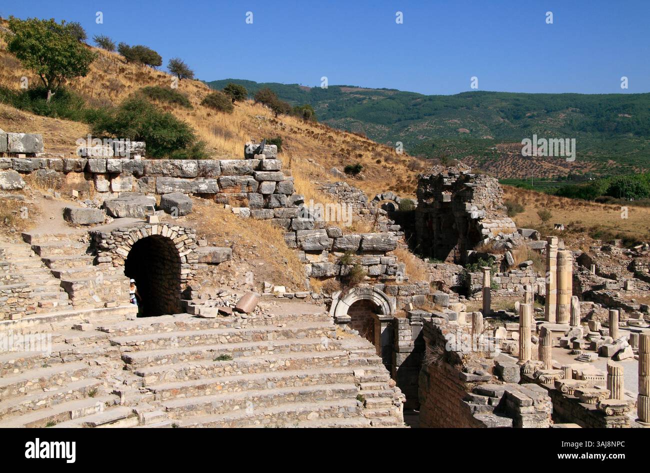 Turkey, Kusadasi. Ruins in the archaeological site of Ephesus. Unesco ...