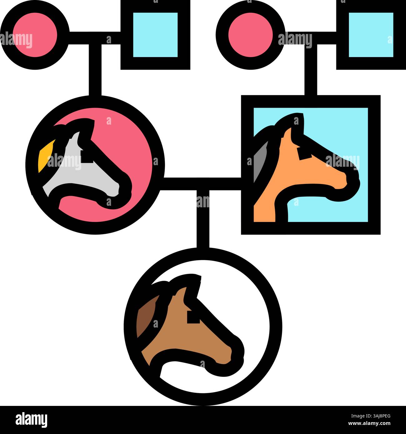 pedigree chart horse breeding color icon vector illustration Stock ...