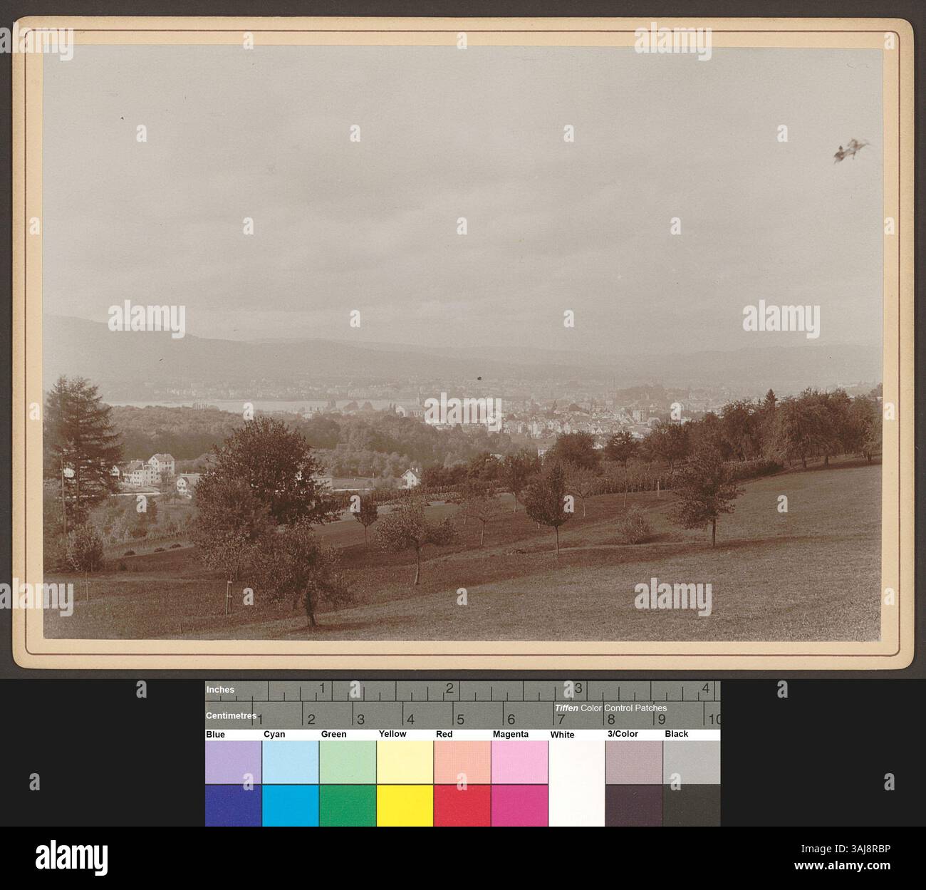 This 1892 photograph by Robert Breitinger captures a distant view from ...