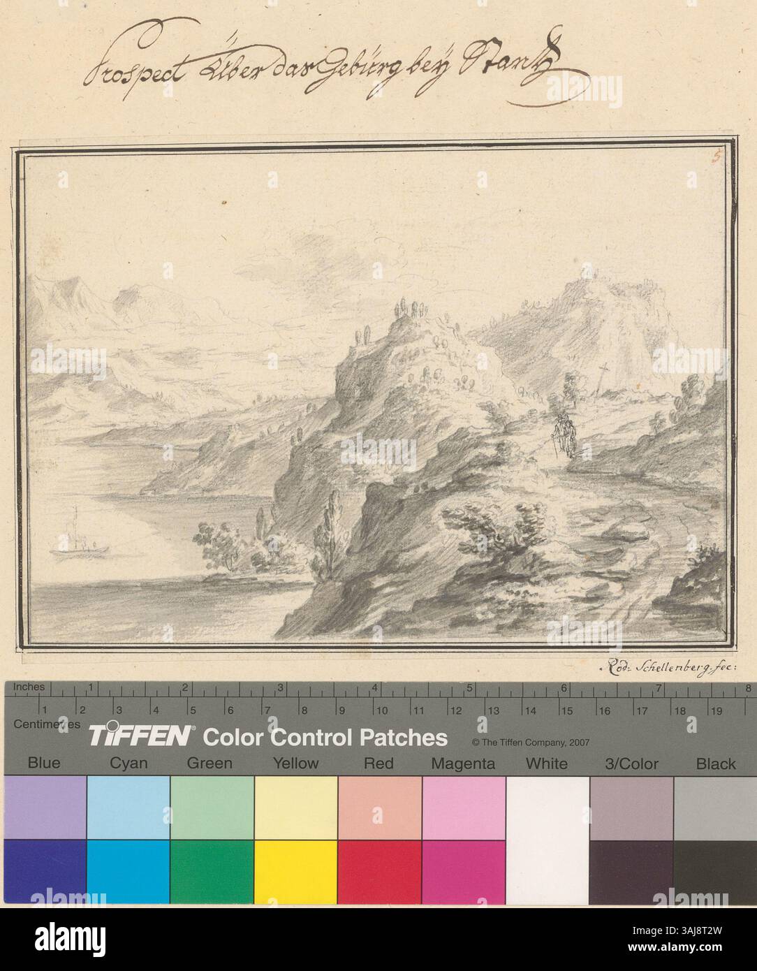 This 1760-1806 drawing by Johann Rudolph Schellenberg depicts a ...