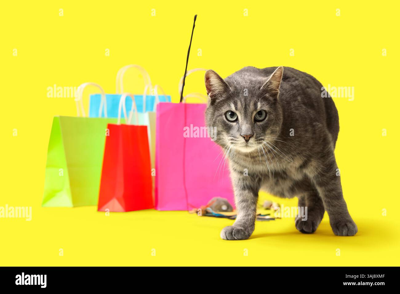 Cute cat with shopping bags and pet toys on yellow background Stock ...
