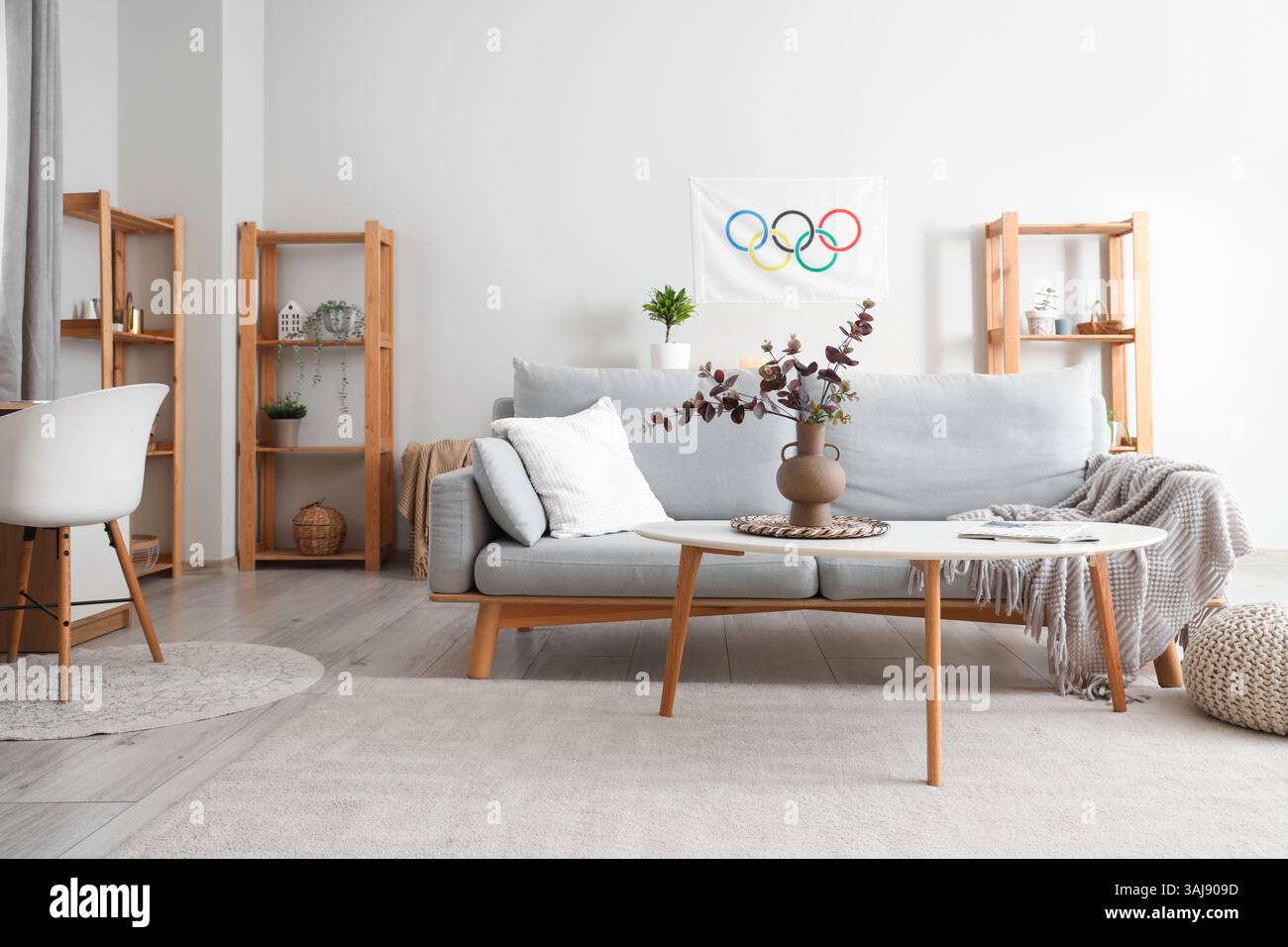 Interior of living room with grey sofa, coffee table and Olympic flag ...