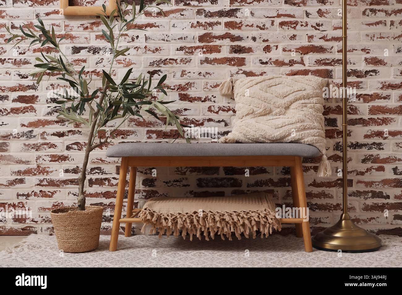 Soft bench with cushion and olive tree near brick wall in room Stock ...