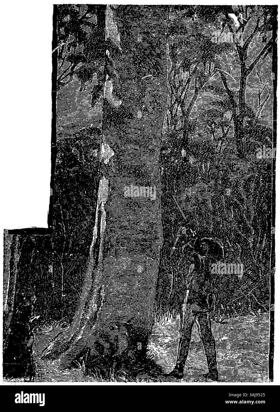 A passage from Oscar Wilde's 1886 work, 'En Australie', featuring a ...