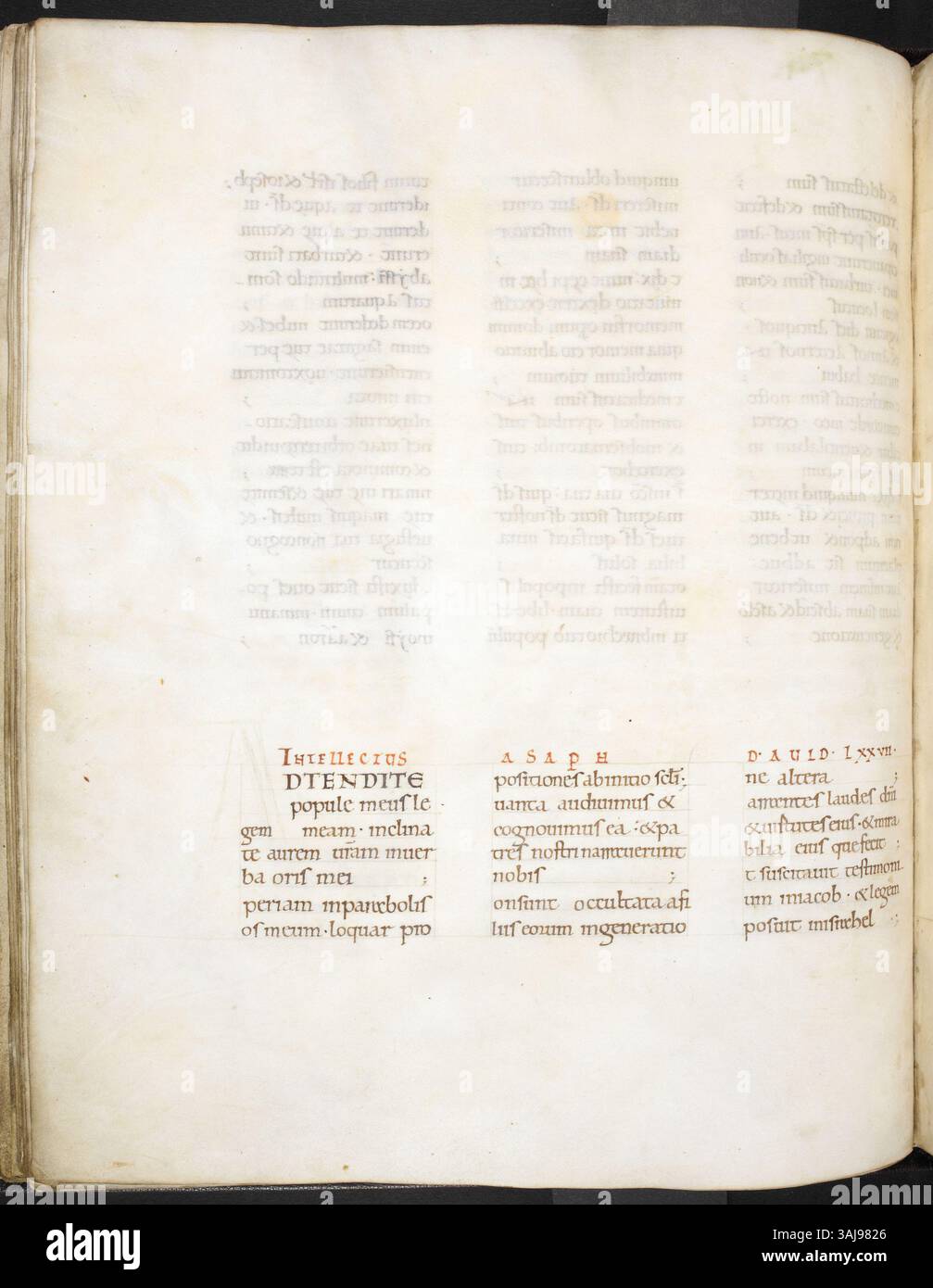 The Harley MS 603 f041v is part of an illuminated manuscript or psalter ...