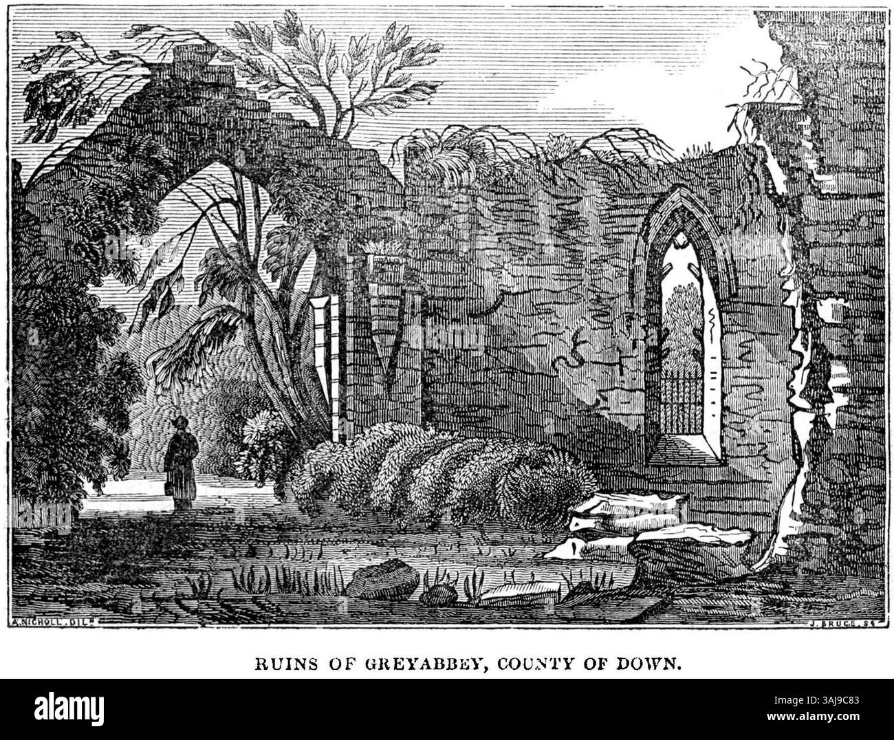 The ruins of Greyabbey, located in County Down, Ireland, are depicted ...