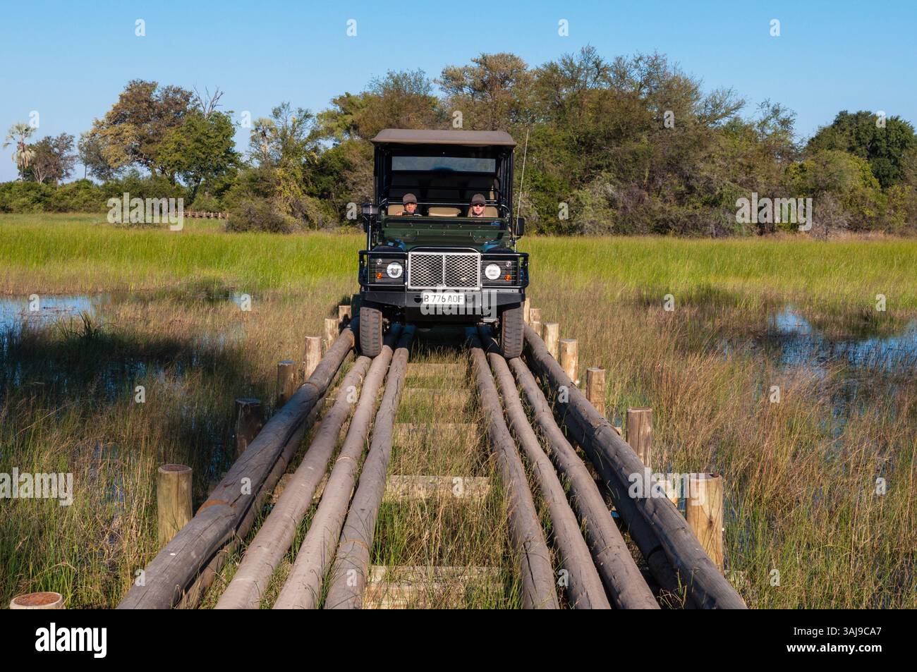 A safari vehicle crossing a log bridge, Botswana, Okavango Delta, Abu ...