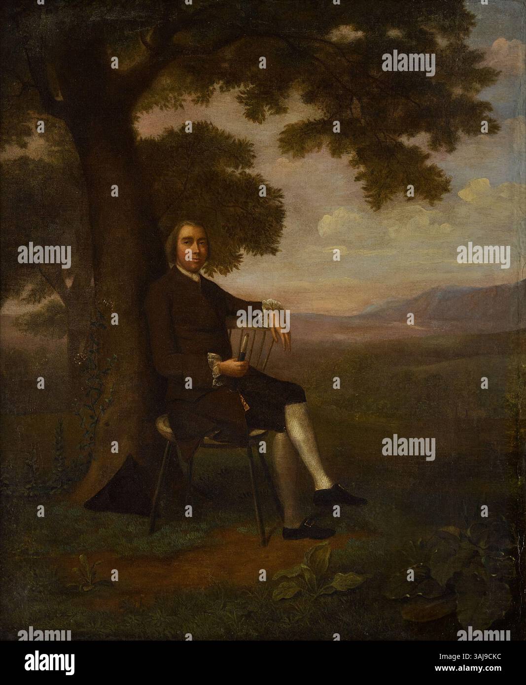 An 18th-century portrait by Arthur Devis of a gentleman seated beneath ...