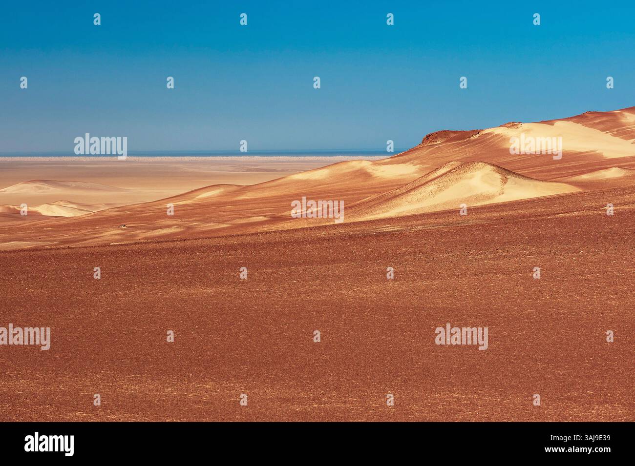 sand dunes on the Skeleton Coast, Namibia, Kunene, Skeleton Coast ...