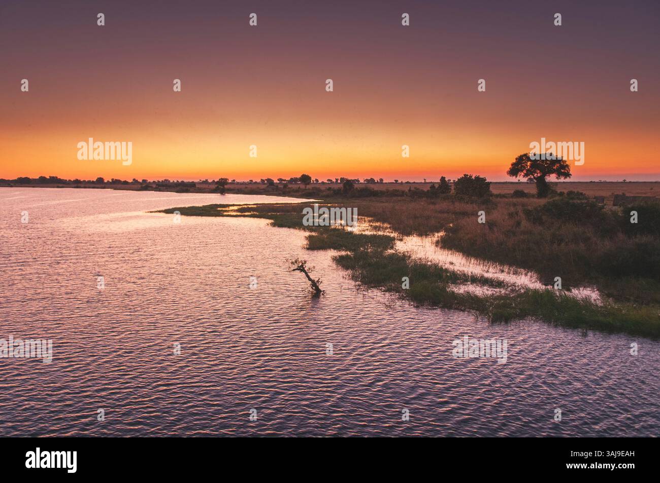 the Chobe River at sunset, Botswana, Chobe National Park, Kasane Stock ...