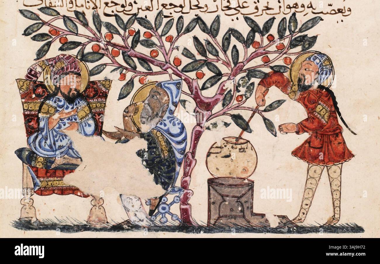 This manuscript from 'De Materia Medica' (1224) illustrates the ...