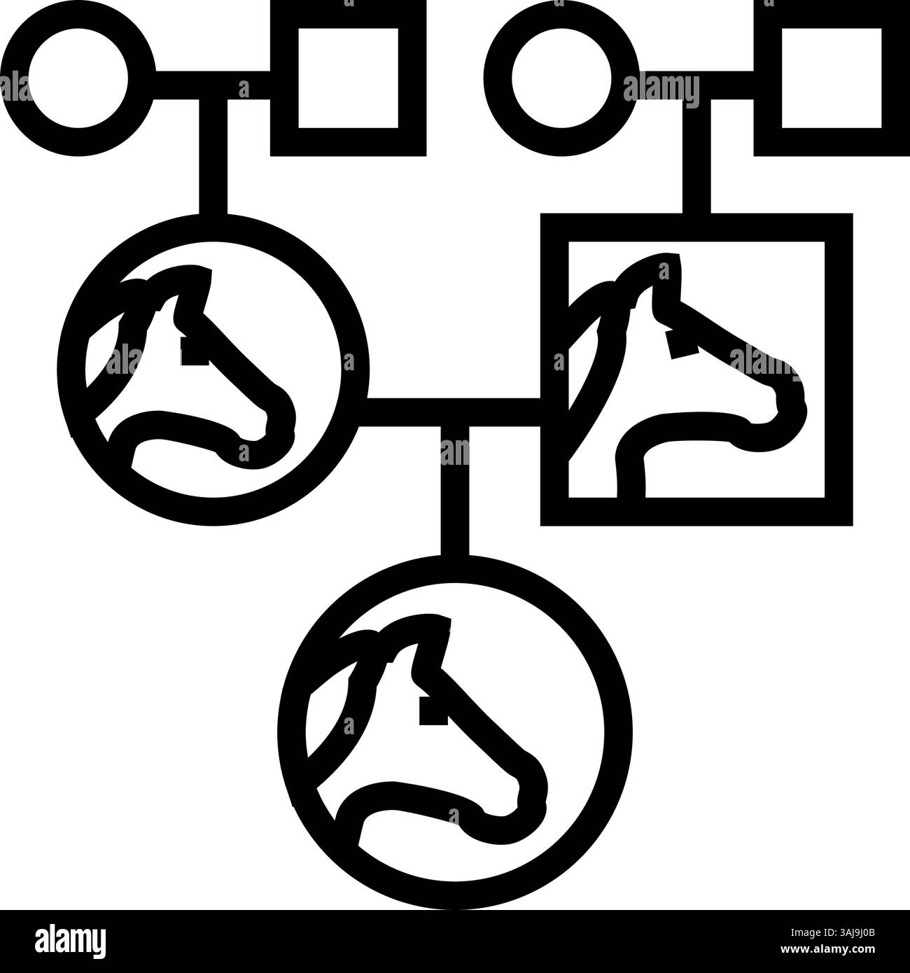 pedigree chart horse breeding line icon vector illustration Stock ...