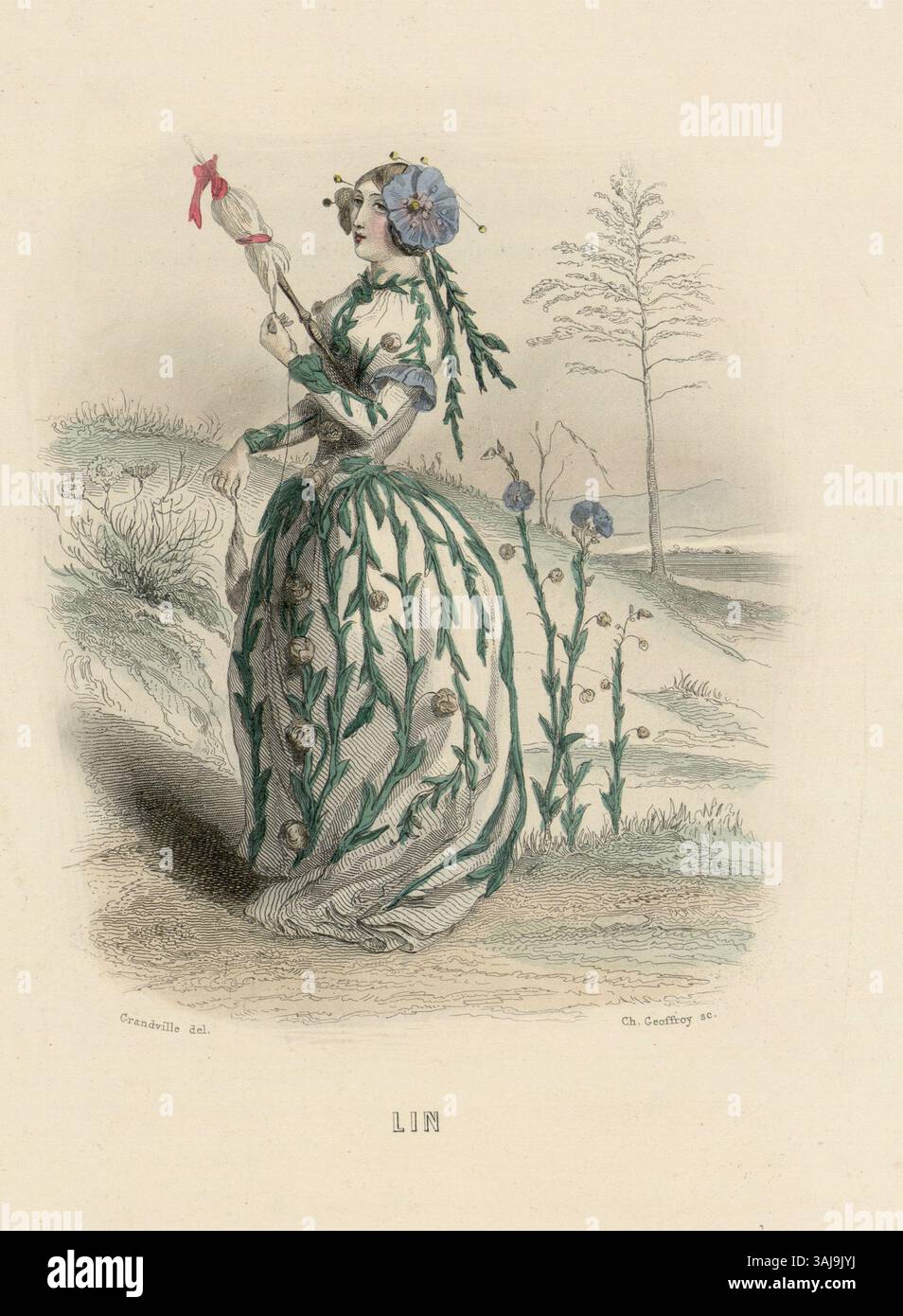 An 1847 print of the flax (Lin) plant from 'Les fleurs animées'. It ...