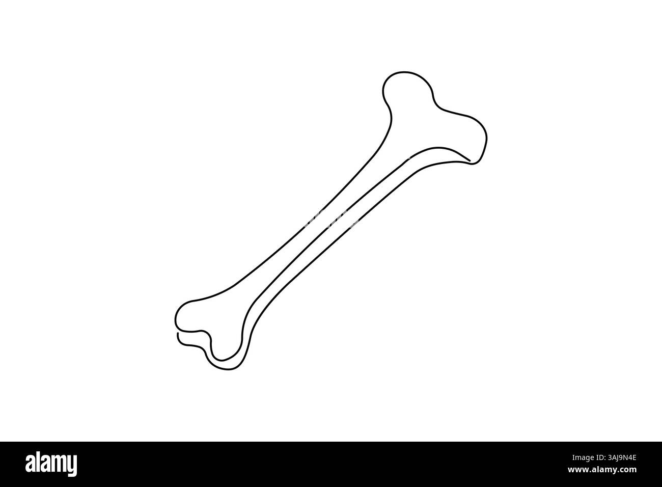 One line bone Stock Vector Images - Alamy