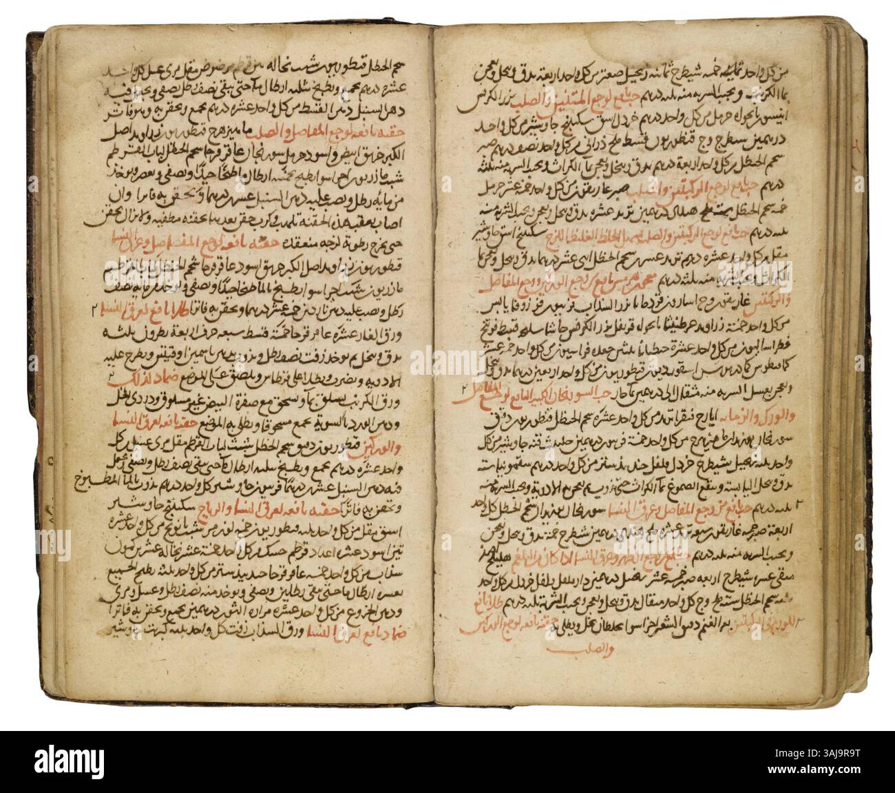 The manuscript 'Al-Tibb al-Kulli' by Abu Sahl Isa Ibn Yahya al-Jurgani ...