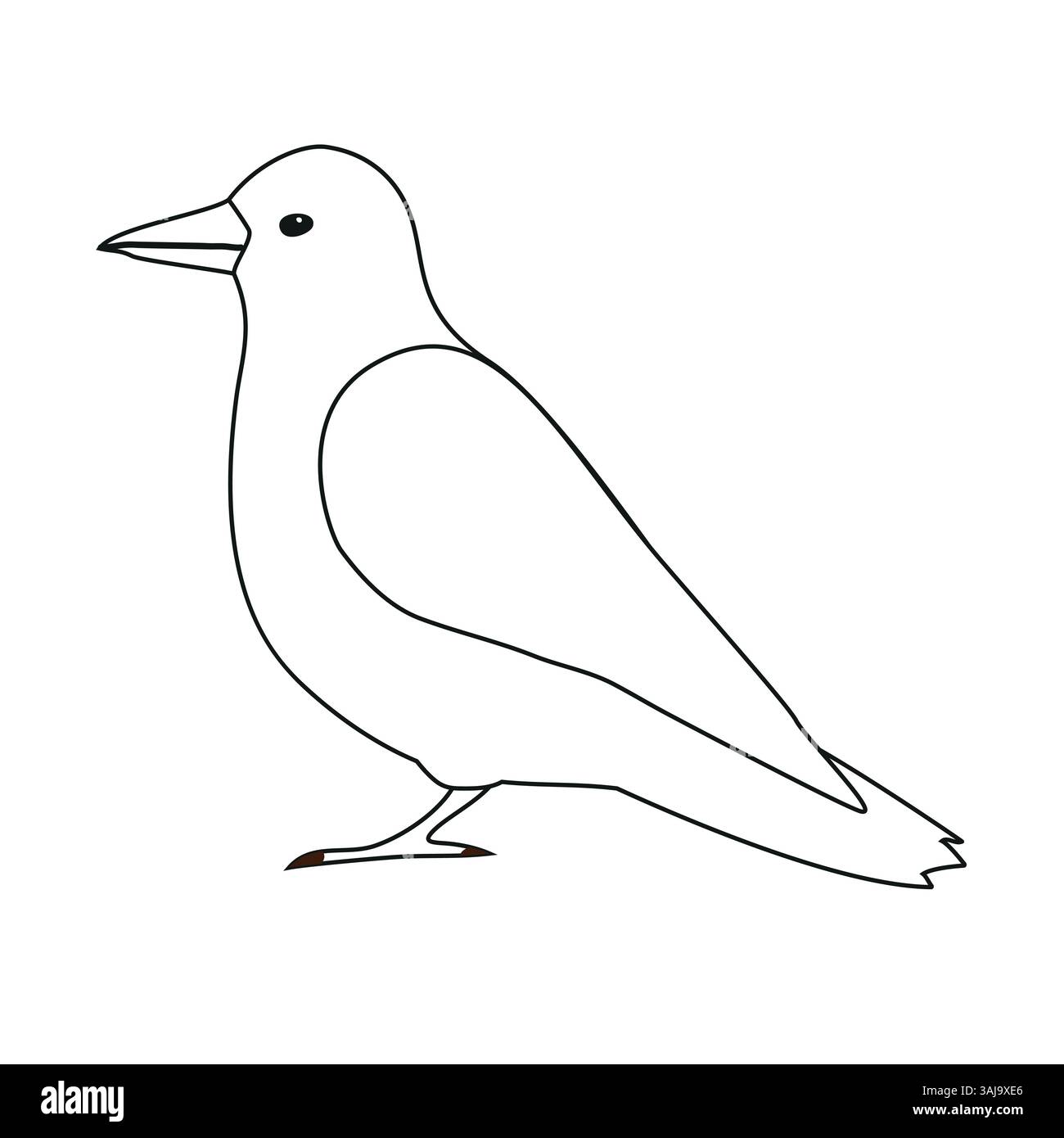 Vector flat outline raven isolated on white background Stock Vector ...