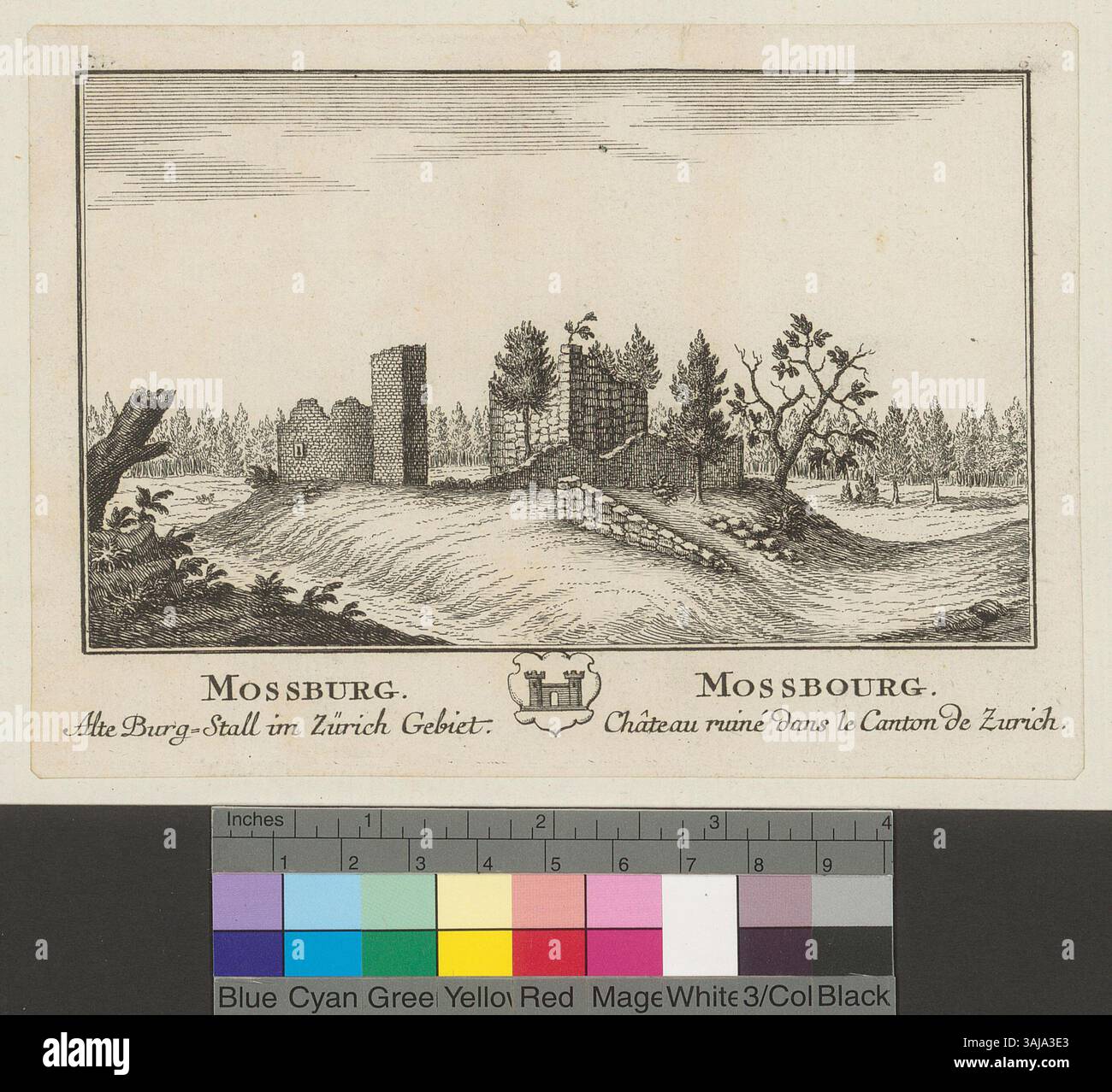 This etching by an anonymous artist depicts the region of Mossburg ...