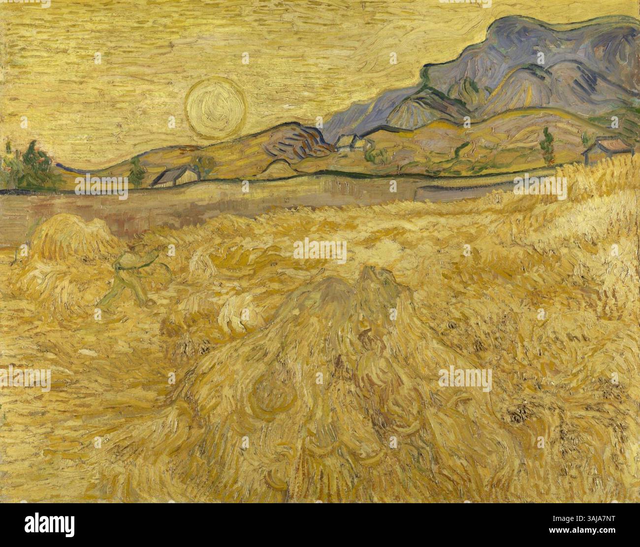 Vincent van Gogh's 1889 painting depicts a reaper working in a wheat ...