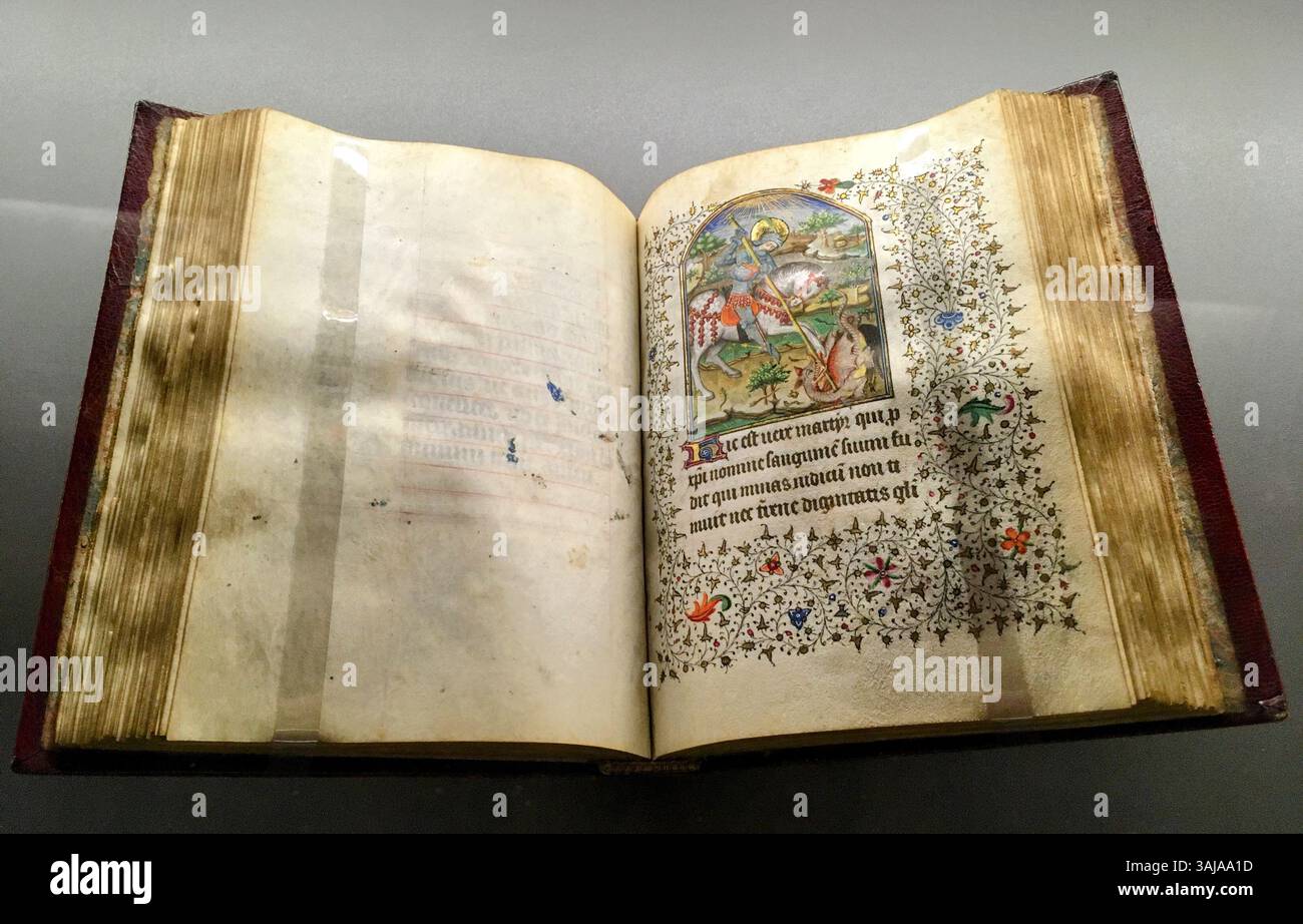 Manuscript dragon hi-res stock photography and images - Alamy