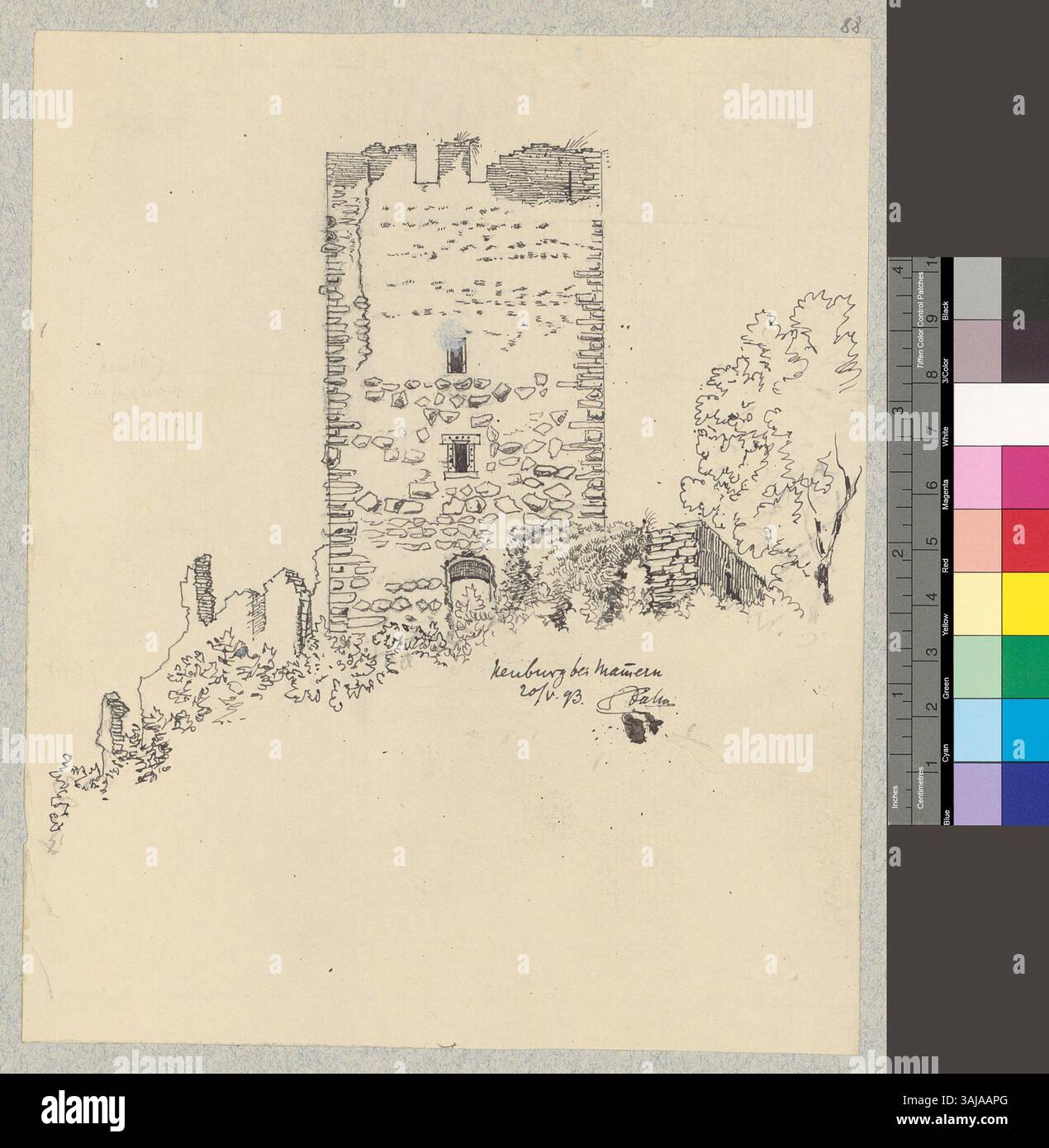 This 1893 drawing by Johann Rudolf Rahn depicts the tower of the Neuburg Ruin in Mammern ...
