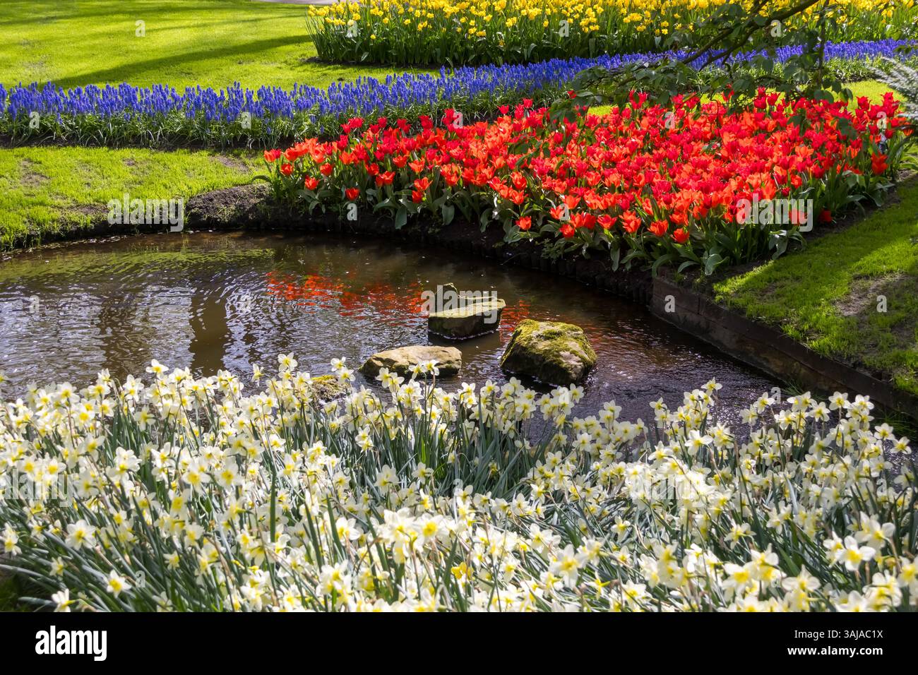 Scenic Keukenhof gardens in Lisse, Netherlands bright flower display along the canal Stock Photo ...