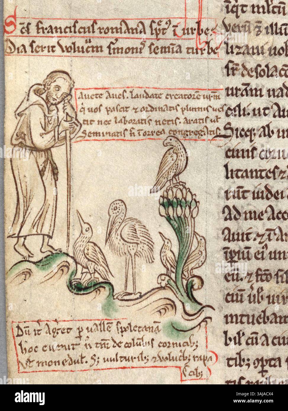 This illustration by Matthew Paris in the 'Chronica Majora' depicts St ...