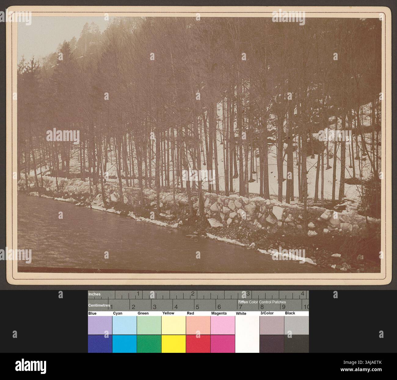 This 1895 photograph by Robert Breitinger shows the Sihlwald area ...