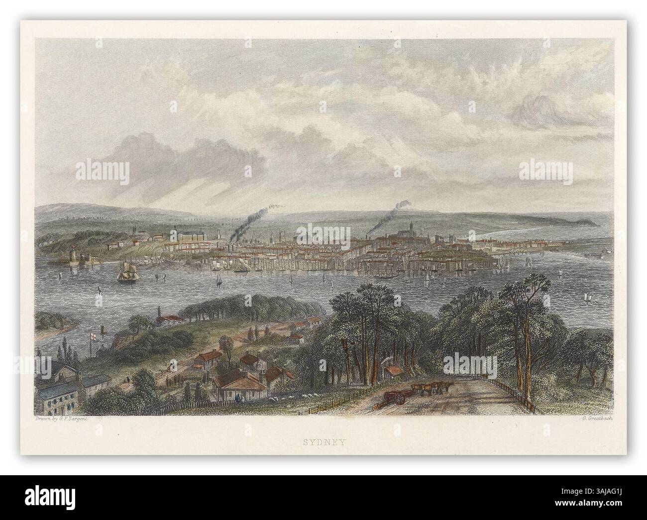 Darling point australia Cut Out Stock Images & Pictures - Alamy